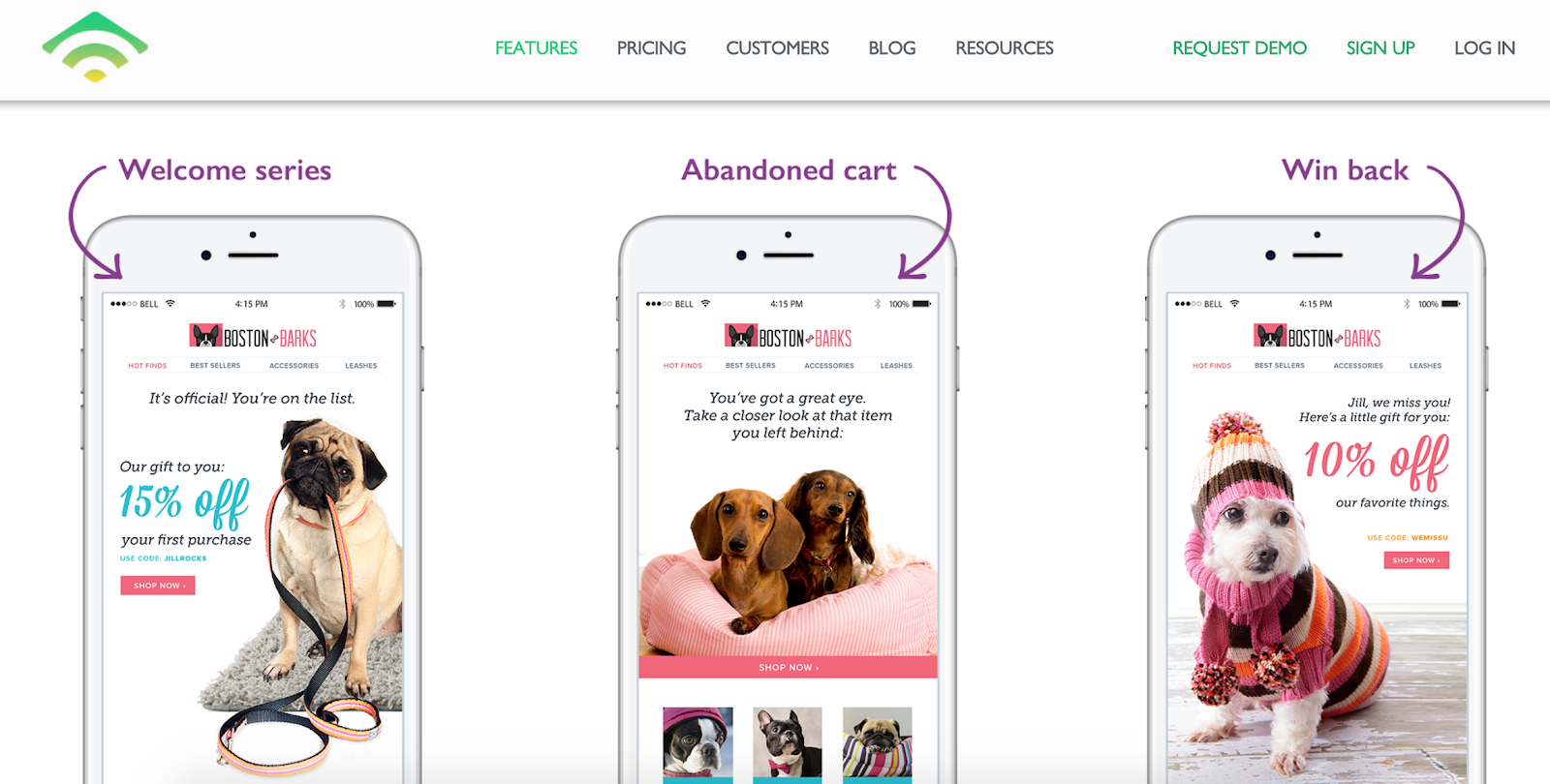 Klaviyo Email Examples